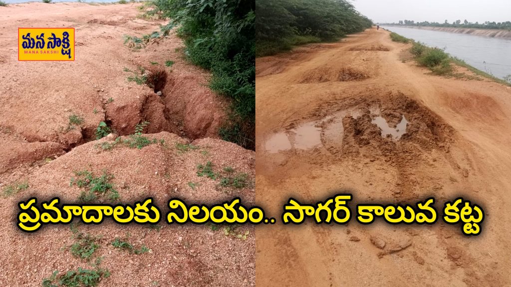 Miryalaguda : సాగర్ ఎడమ కాలువ కట్ట.. రైతులకు వెన్నులో వణుకు..! - ManaSakshi